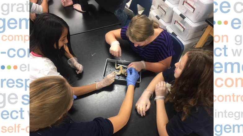 Triumph Hosts STEM Day for Students