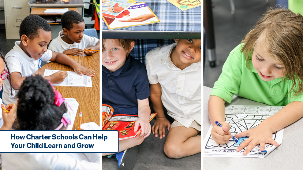 How Charter Schools Can Help Your Child Learn and Grow