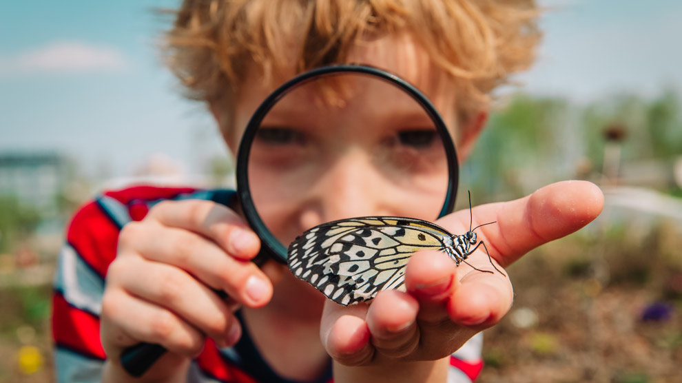 Three Ways Summer Learning Benefits Scholars